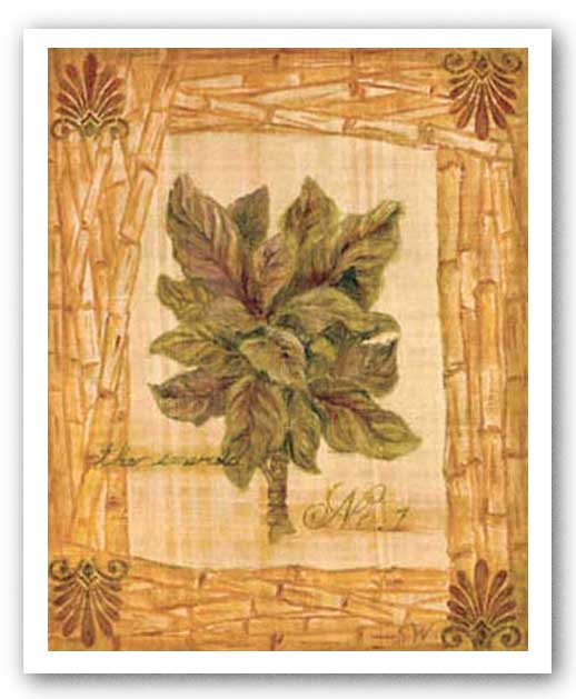 The Emerald by Shari White Art Print – First Art Source